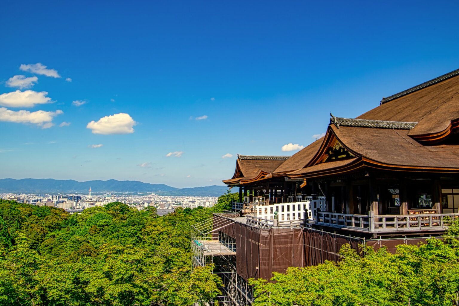 京都駅から清水寺へ直行！京阪バス「清水寺ライン」1日16便運行で観光が快適に - 鉄道ブログ岡山から